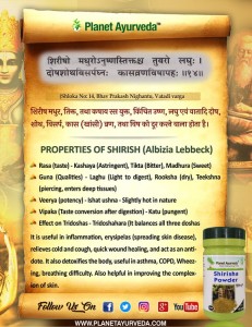 Medicinal Properties and Uses of Shirish Plant(Albizia lebbeck)